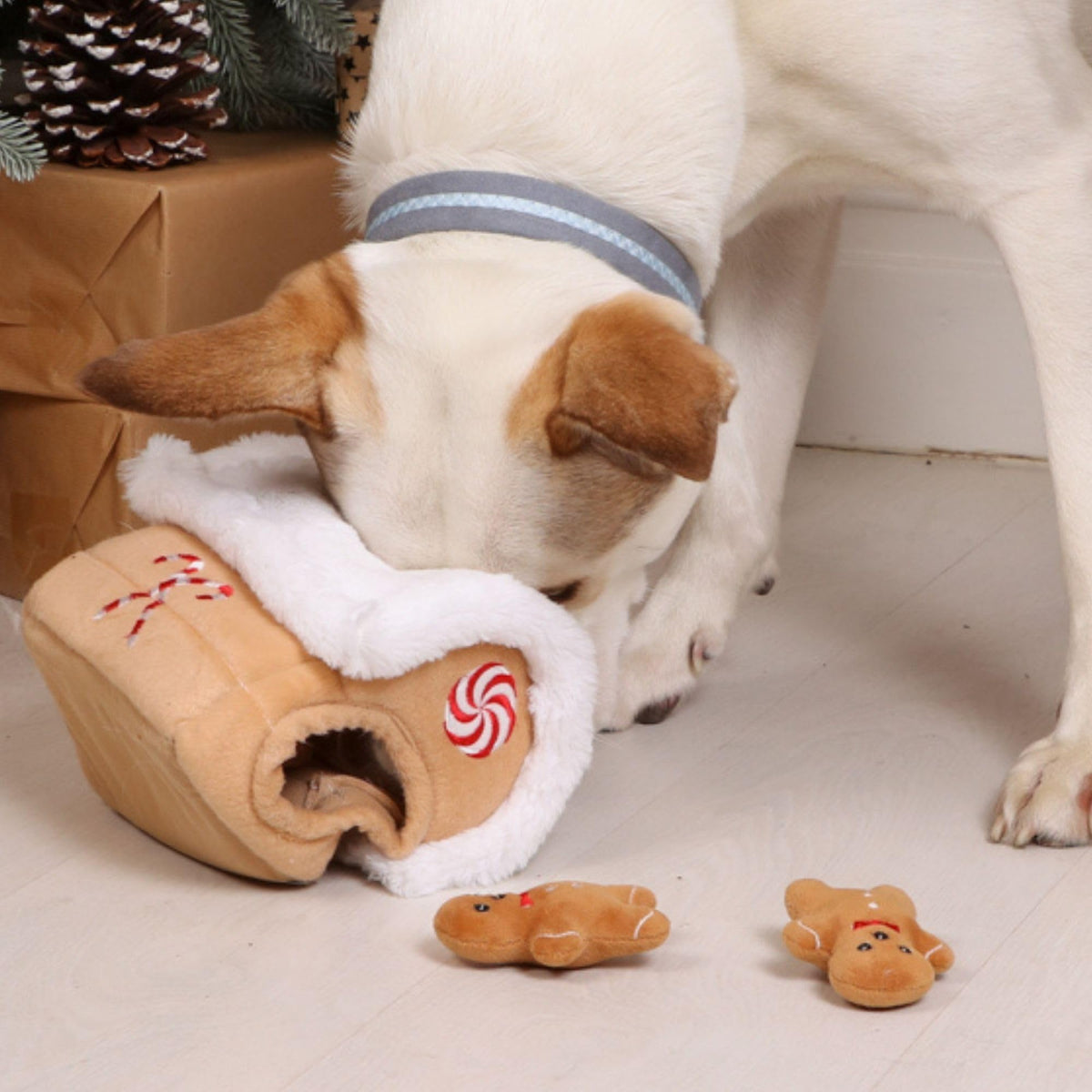 Pet Brands - Festive gingerbread House Hide And Seek Toy| NRG Pet Supplies