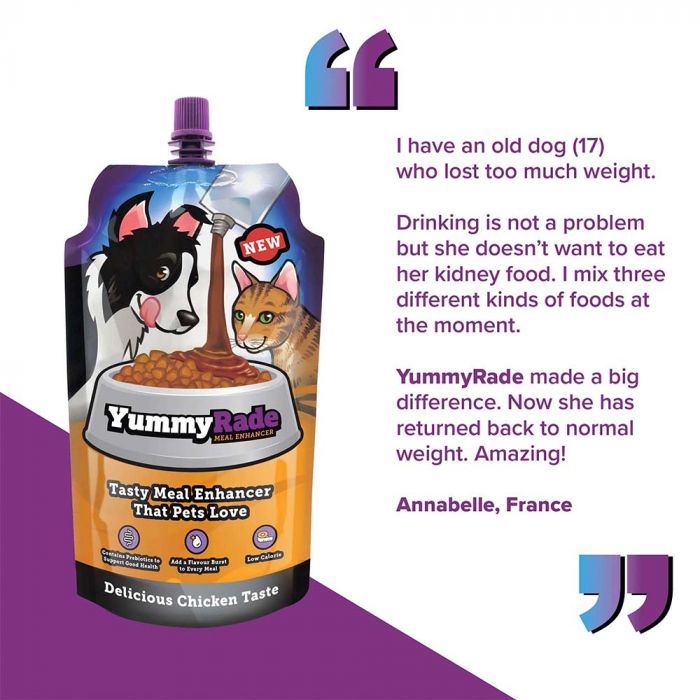 YummyRade Isotonic Drink for Pets - 250ml| NRG Pet Supplies